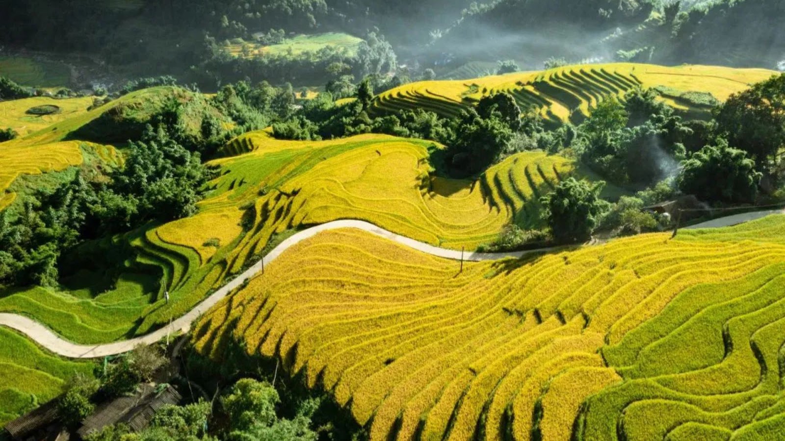 What's interesting in Ta Van Village? An authentic Northwest experience.